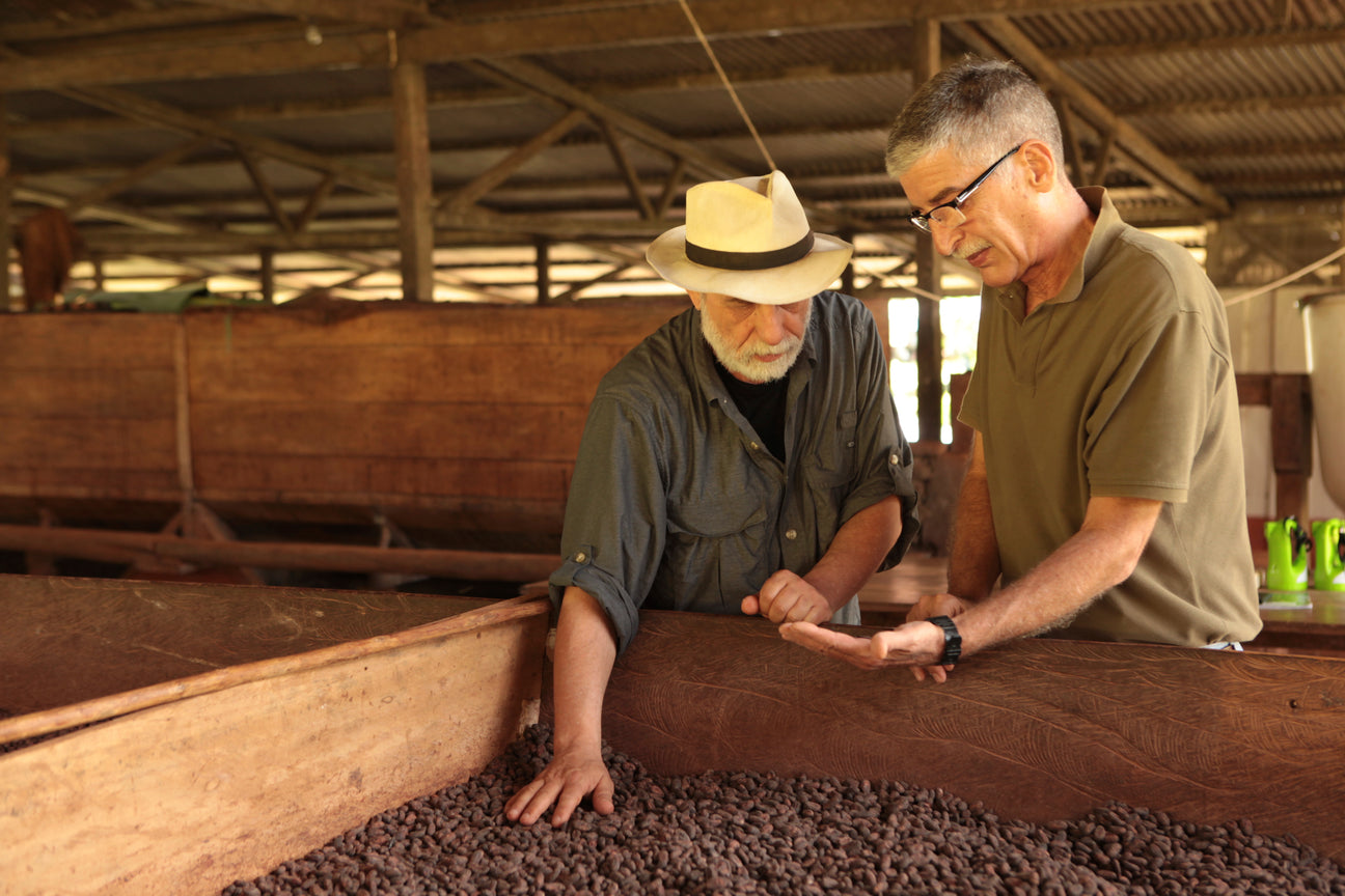 The Beginning – Alegio Chocolaté / Claudio Corallo