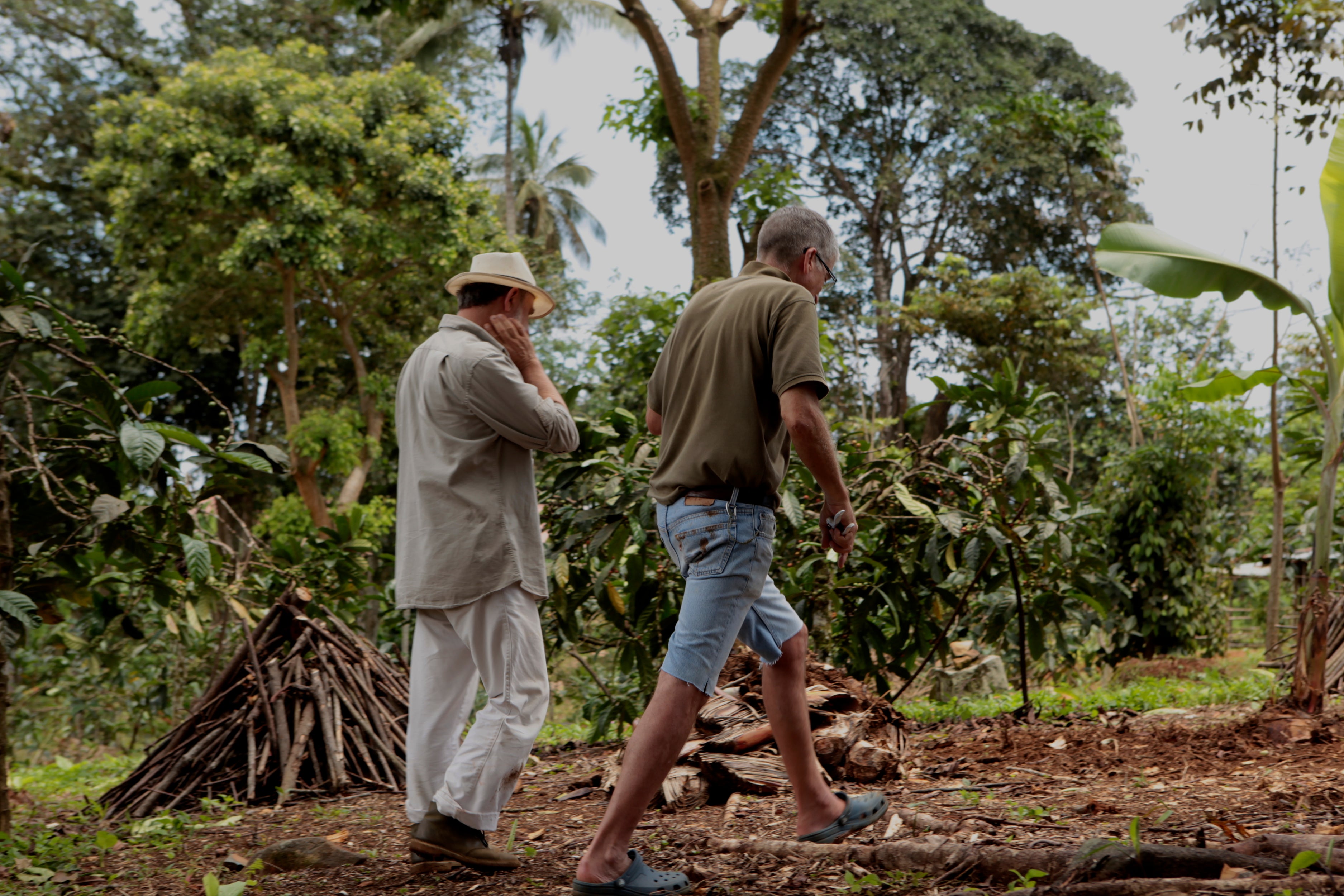 The Beginning – Alegio Chocolaté / Claudio Corallo