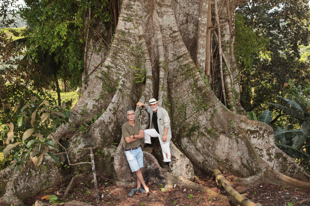 The Beginning – Alegio Chocolaté / Claudio Corallo