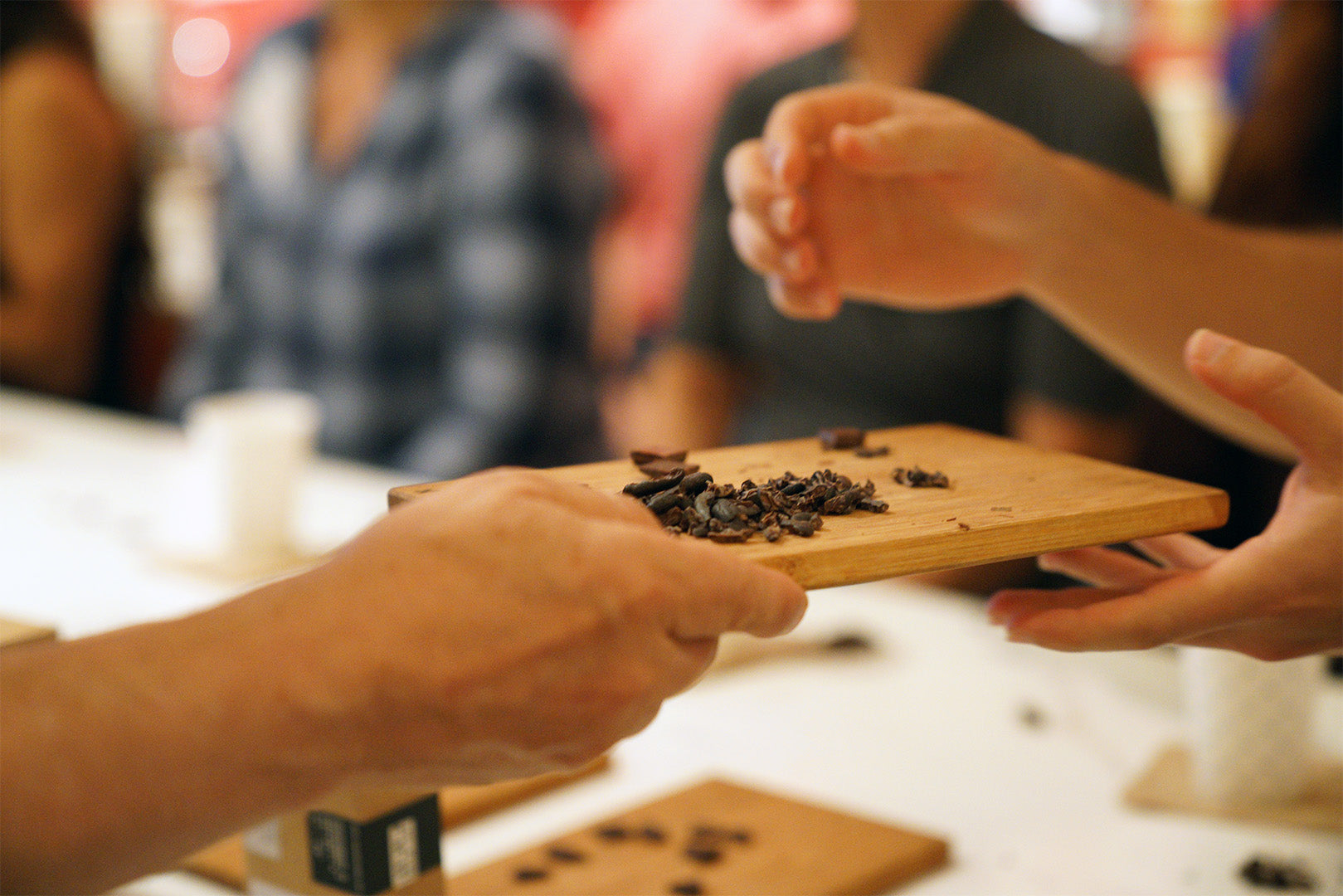 Contact us – Alegio Chocolaté / Claudio Corallo